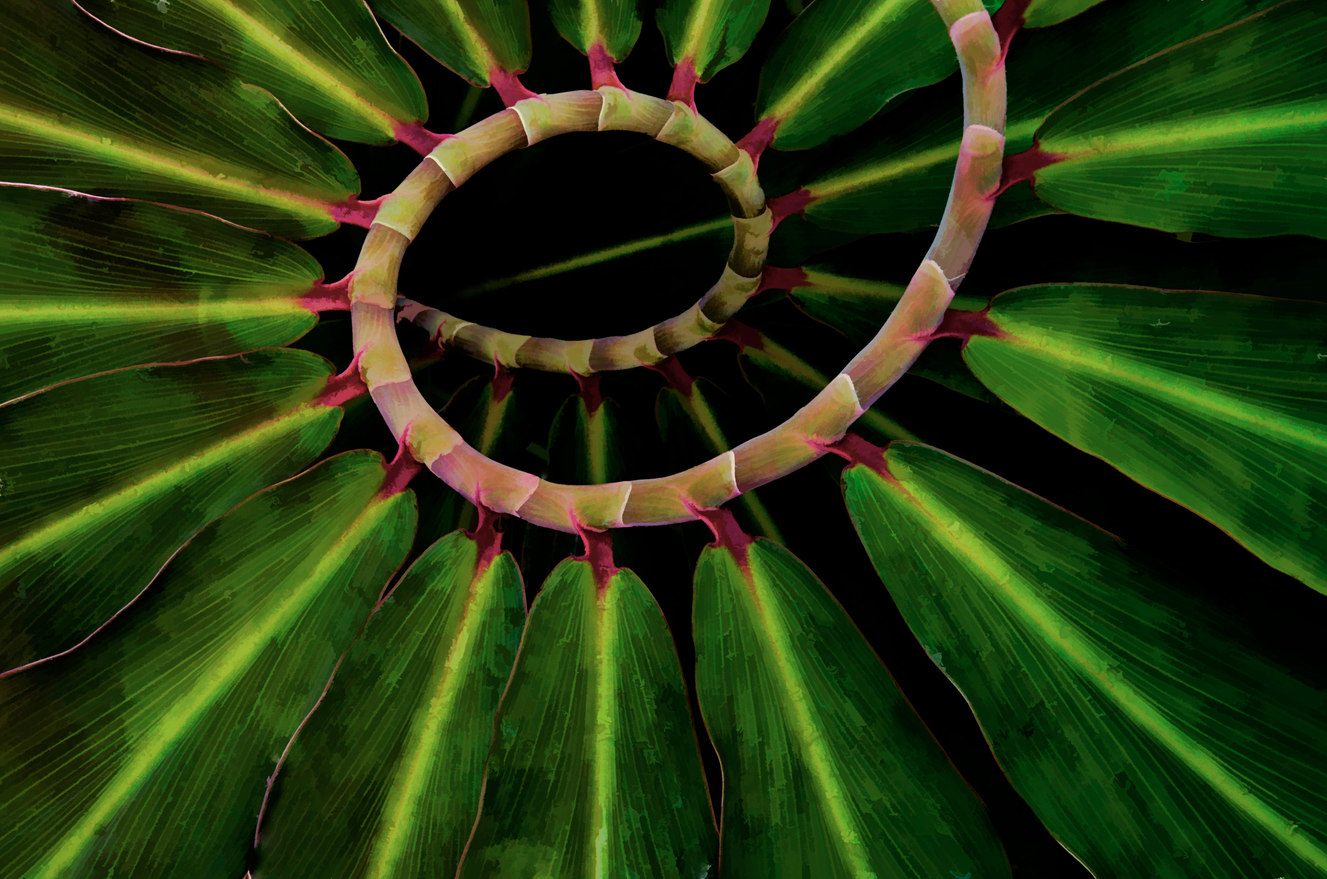 Before and After - Stairway Plant - Mike Moats - Award Winning Macro ...