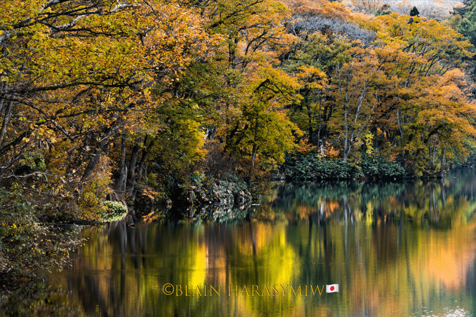 Reflections Essence Of Japan Autumn Photography Workshop Tour 2022 ...