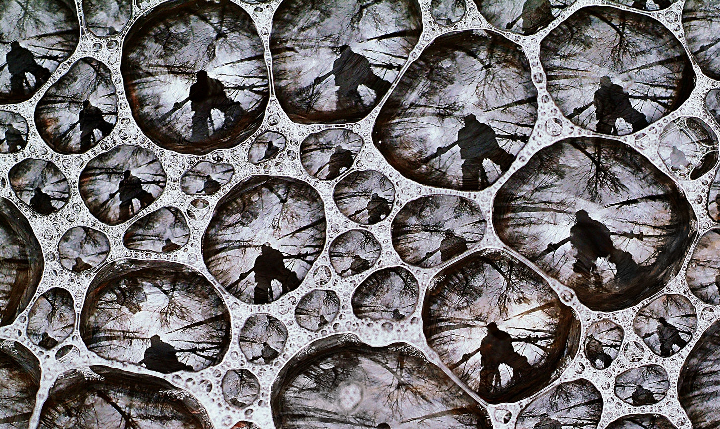 My Reflection in Bubbles - Mike Moats - Award Winning Macro Photographer