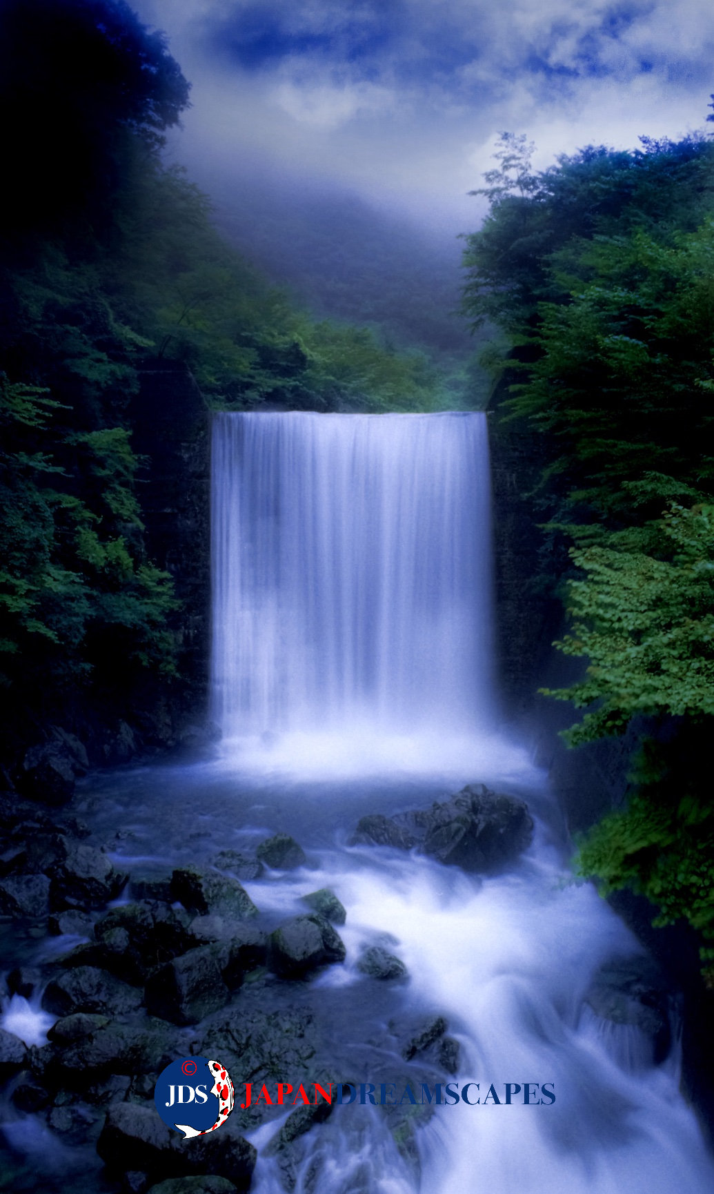 2027 Big City, Snow Monkeys, Onsens JPN Photo Tour - JAPAN DREAMSCAPES
