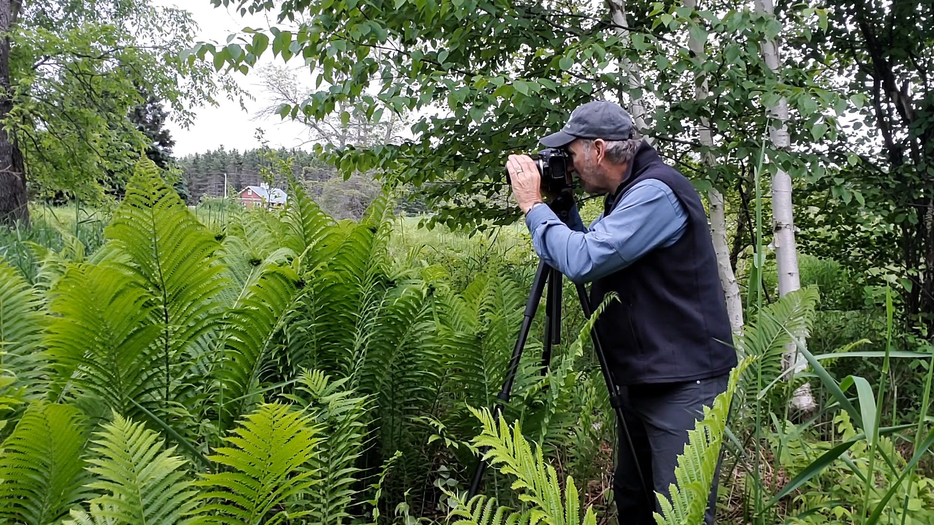 Booking Camera Club Presentations - Mike Moats - Award Winning Macro ...