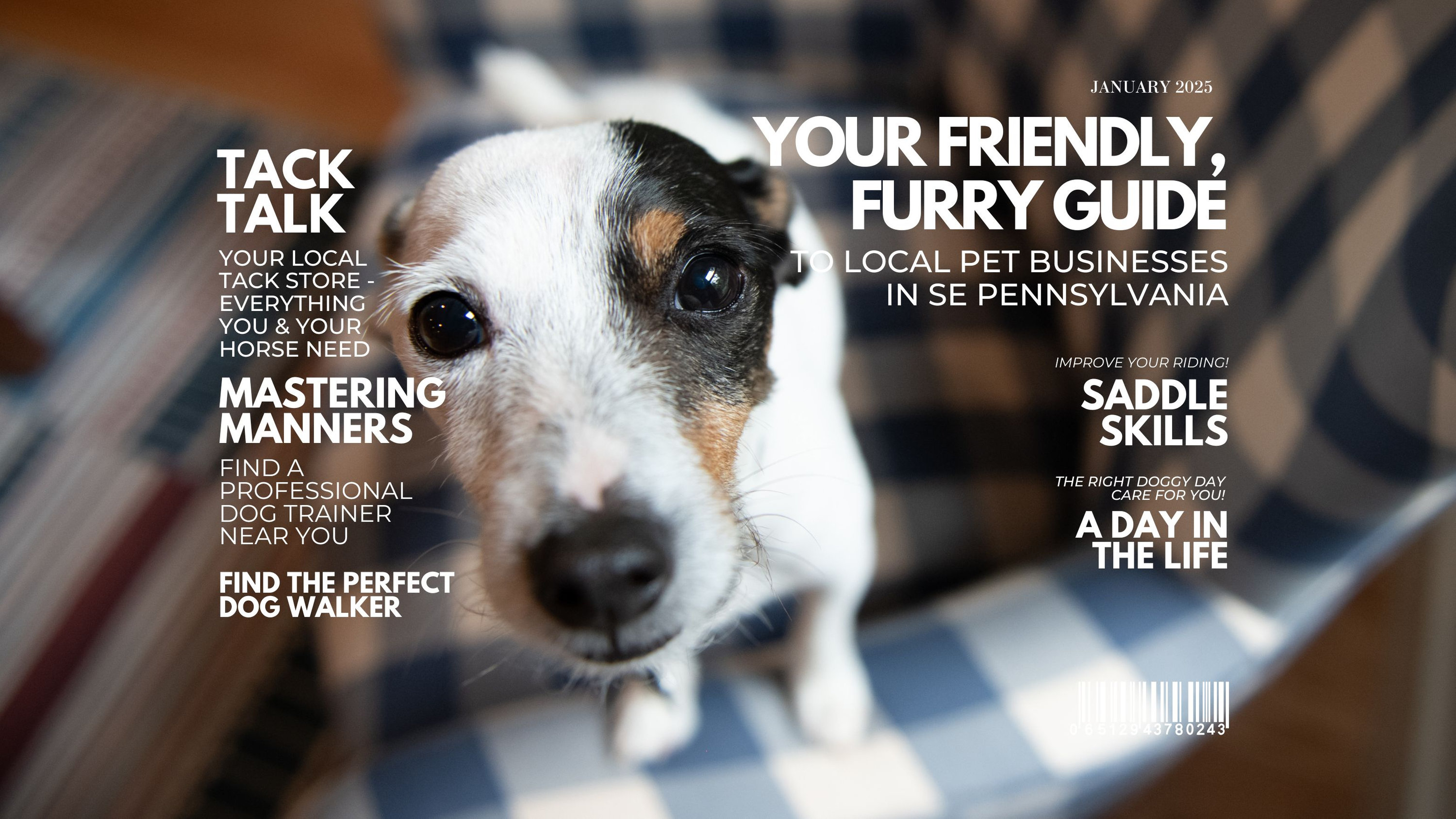 Your Friendly, Furry Guide to Local Pet Businesses in SE Pennsylvania ...